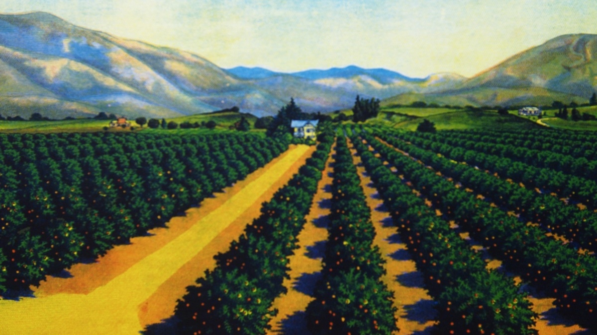 University of La Verne Receives $500,000 Gift from Citrus Roots ...